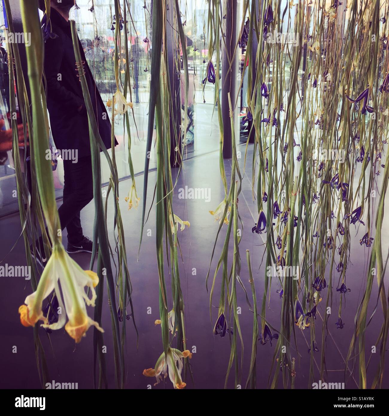 Hanging flowers art hi-res stock photography and images - Alamy