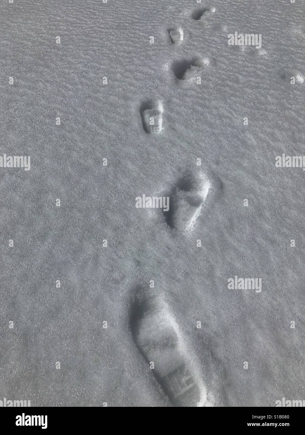 Follow footprints hi-res stock photography and images - Alamy