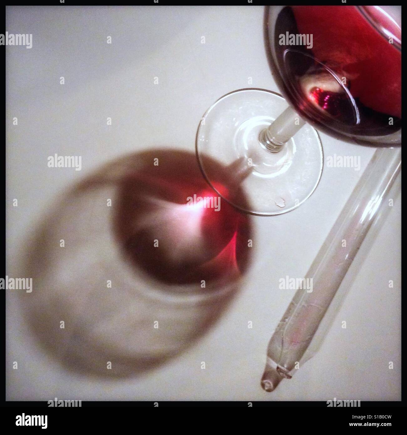 Wine taste tasting drink drinking sample sampling hi-res stock ...