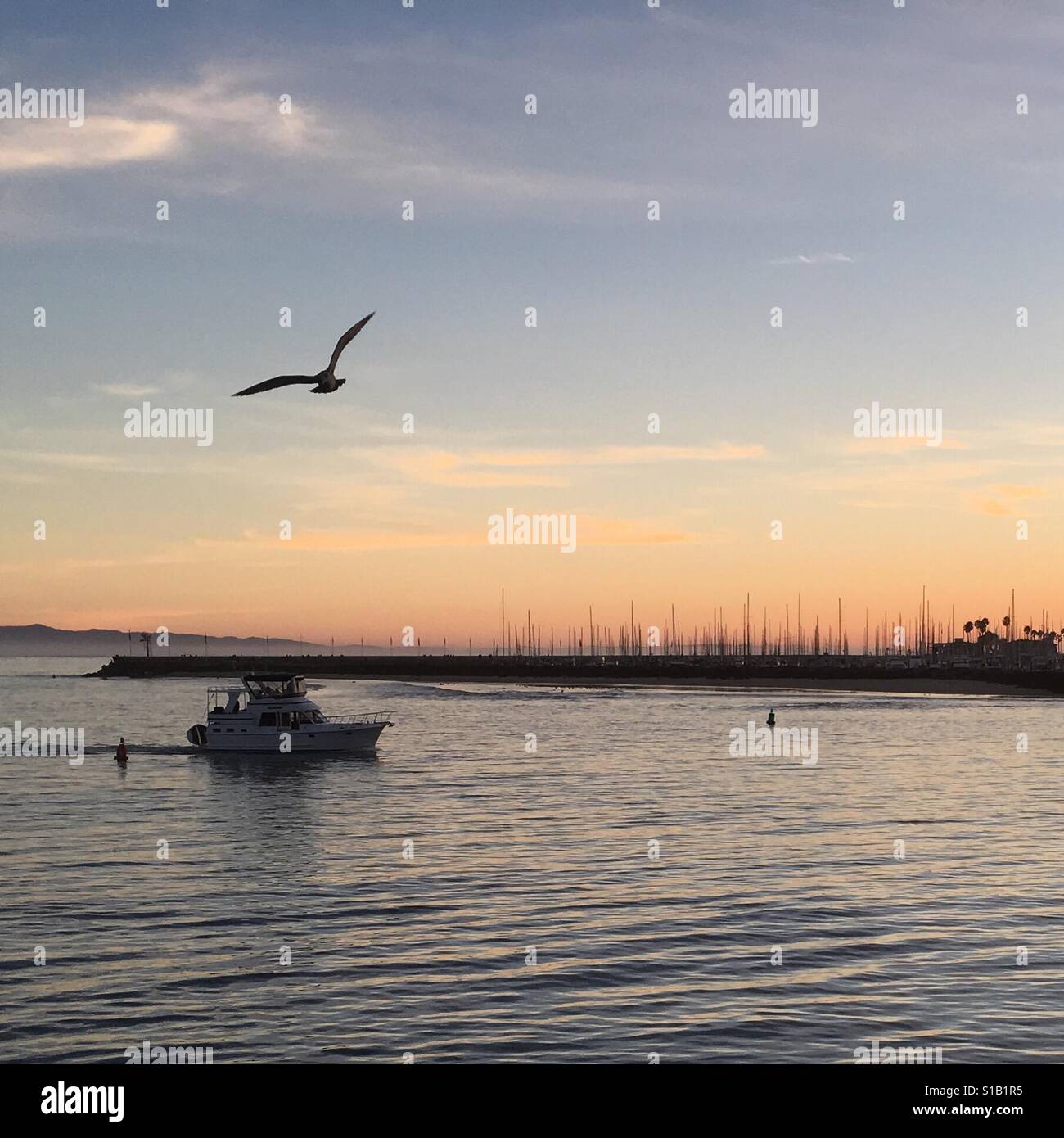 Santa barbara harbor sunset hi-res stock photography and images - Alamy