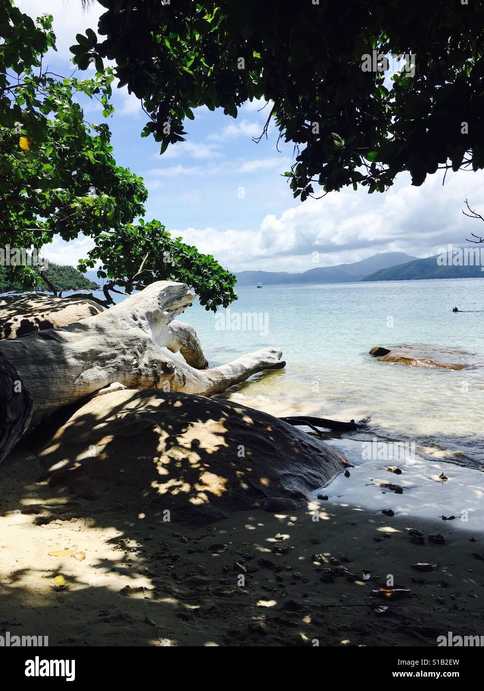 Fitzroy island hi-res stock photography and images - Alamy