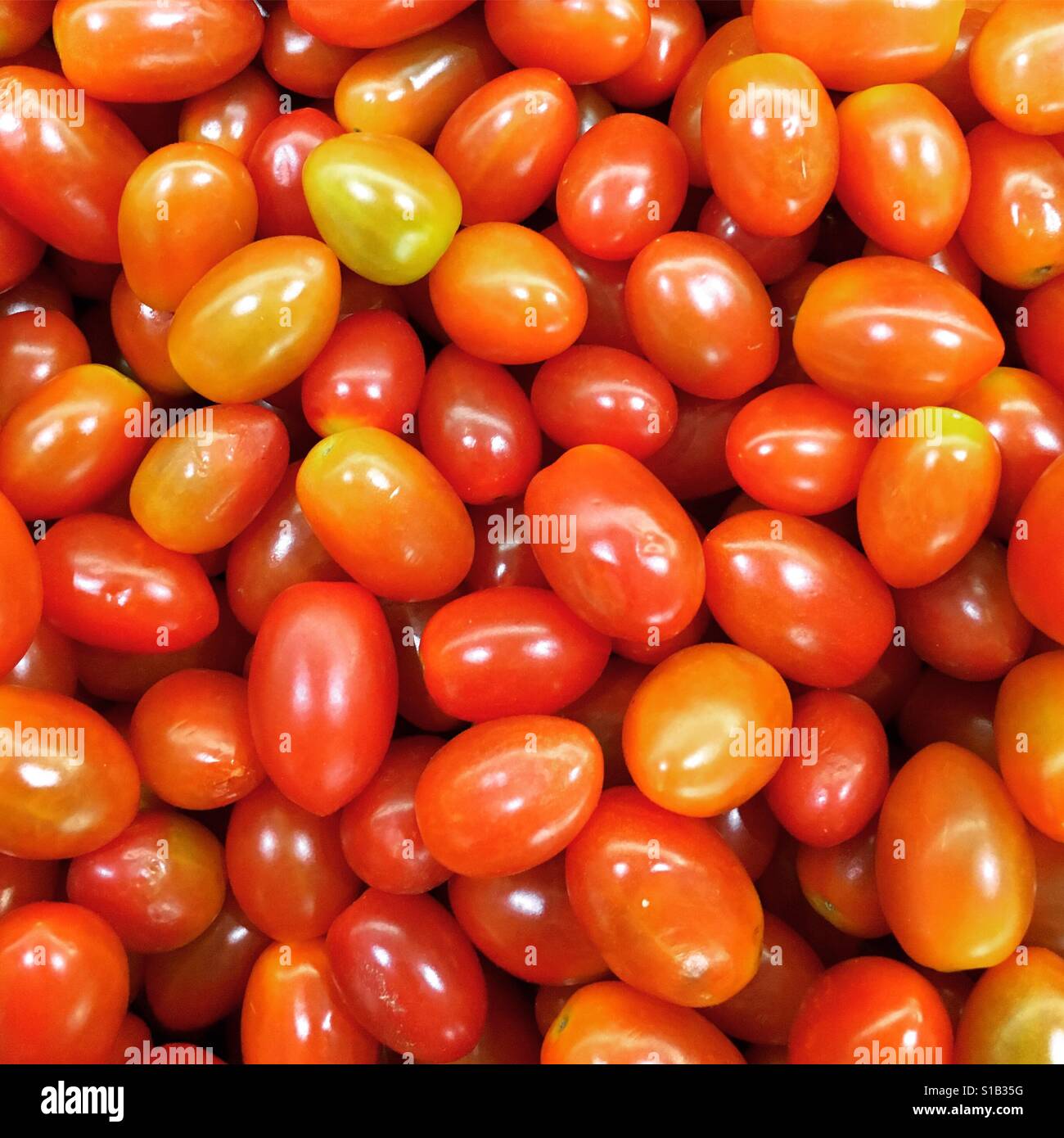 Small tomatoes with tomatoes hi-res stock photography and images - Alamy