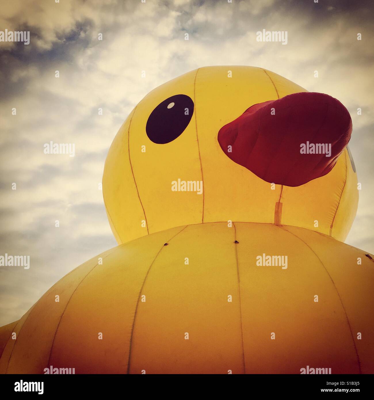 Cartoon ducky hi-res stock photography and images - Alamy