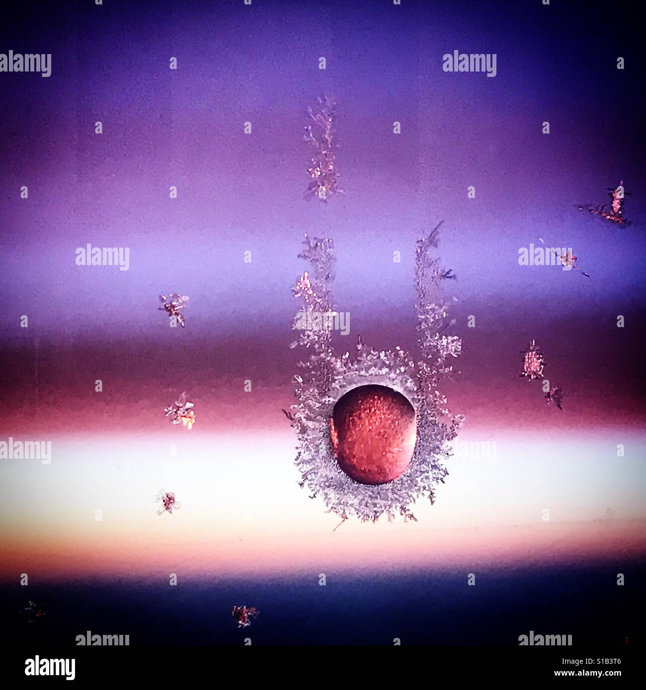 Gota agua hi-res stock photography and images - Alamy