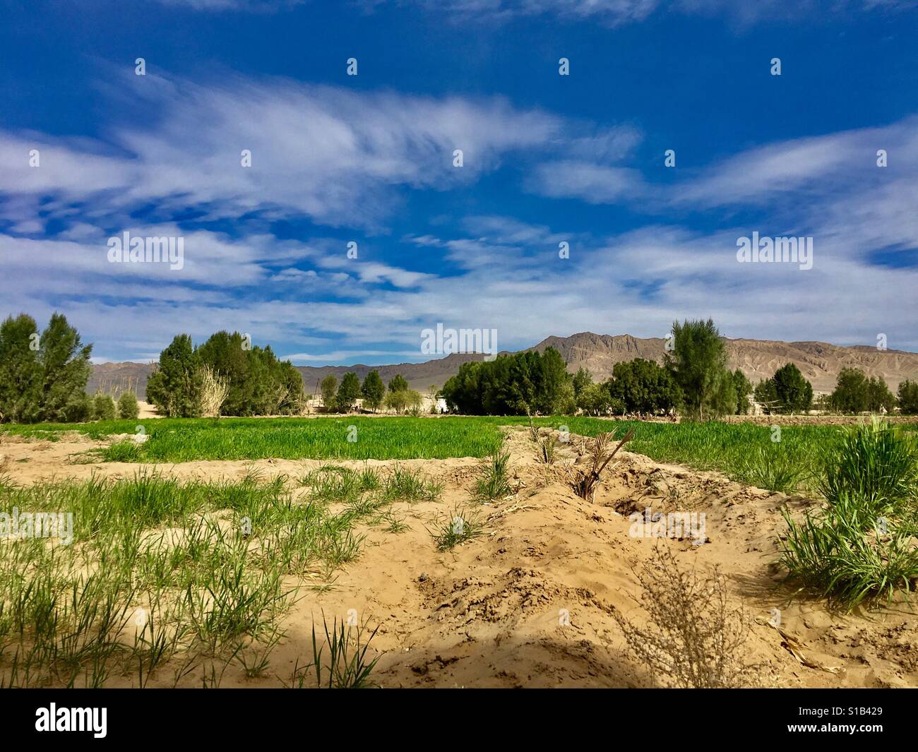 Balochistan hi-res stock photography and images - Alamy