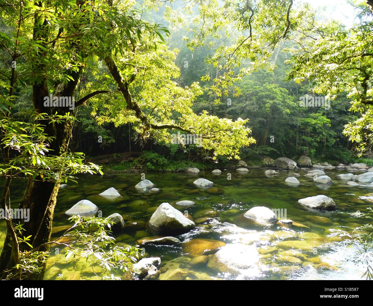 Mossman gorge hi-res stock photography and images - Alamy