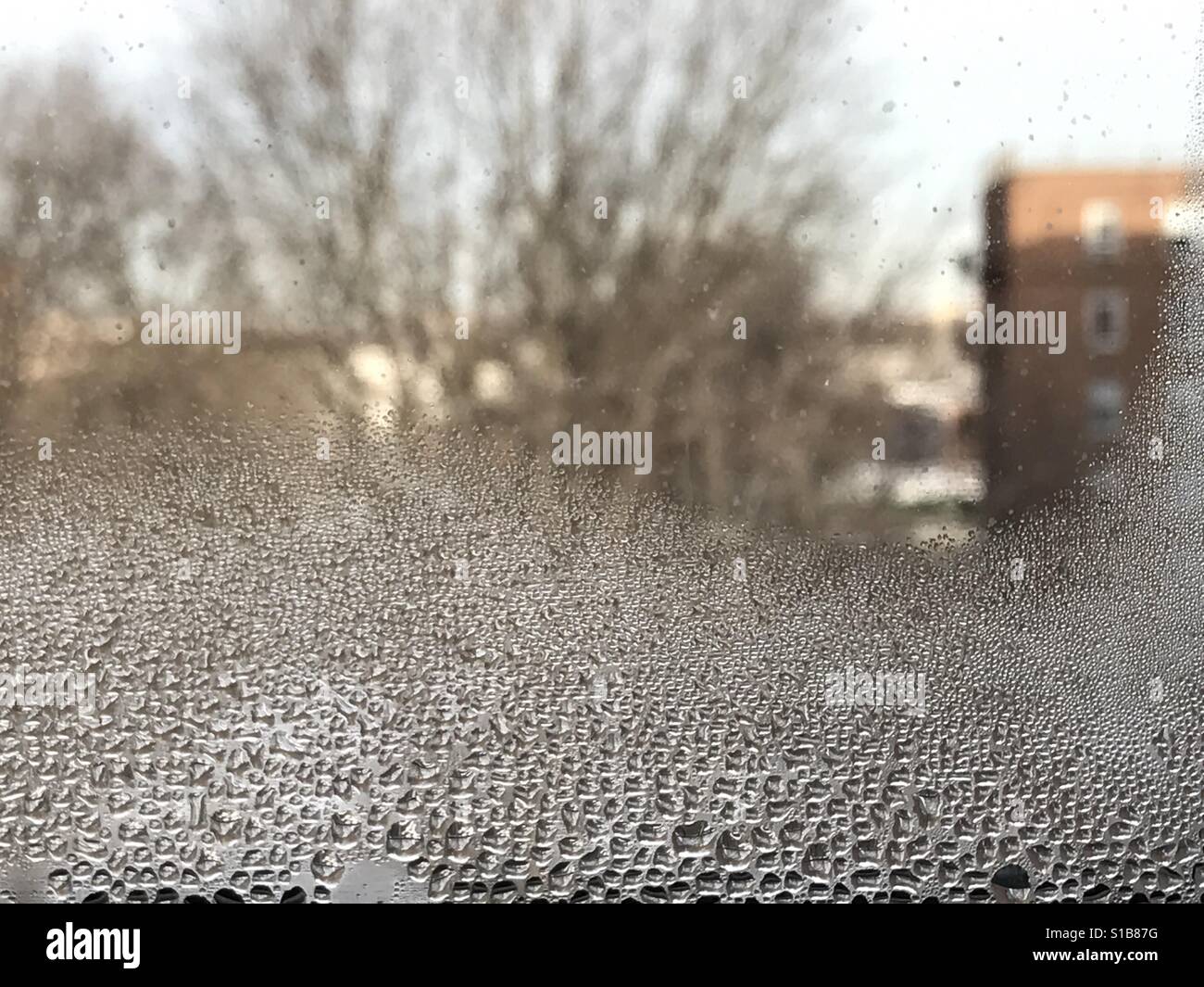 Water sun trees hi-res stock photography and images - Alamy