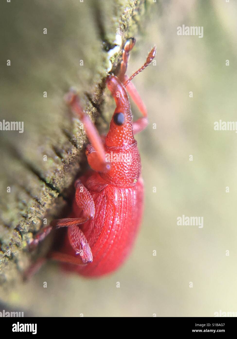 Dock wildlife hi-res stock photography and images - Alamy