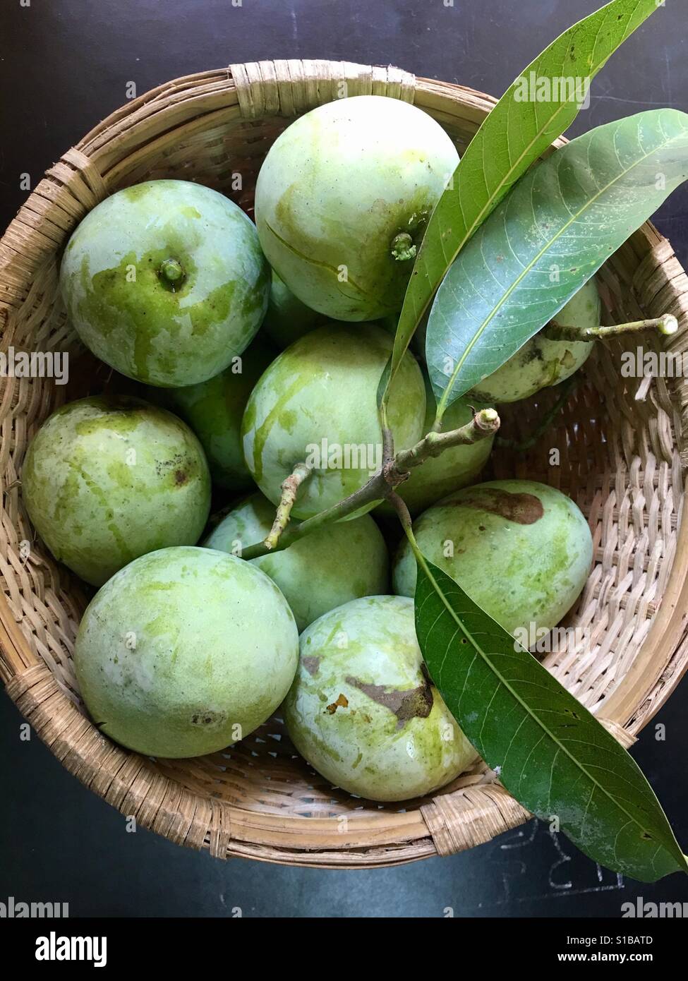 Mangoes leaves hi-res stock photography and images - Alamy