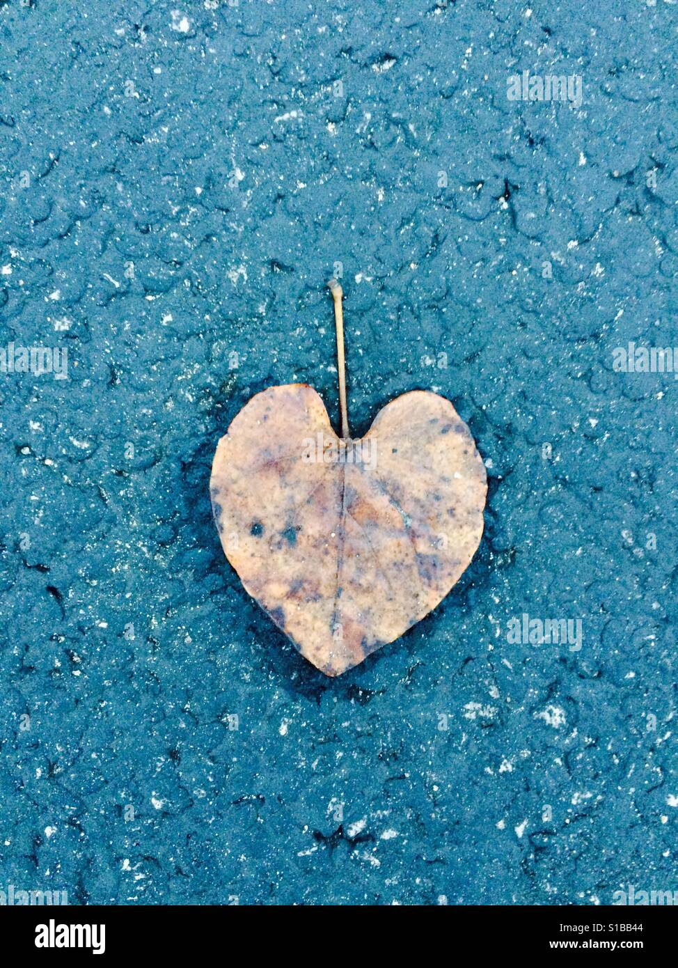 Natural love hi-res stock photography and images - Alamy