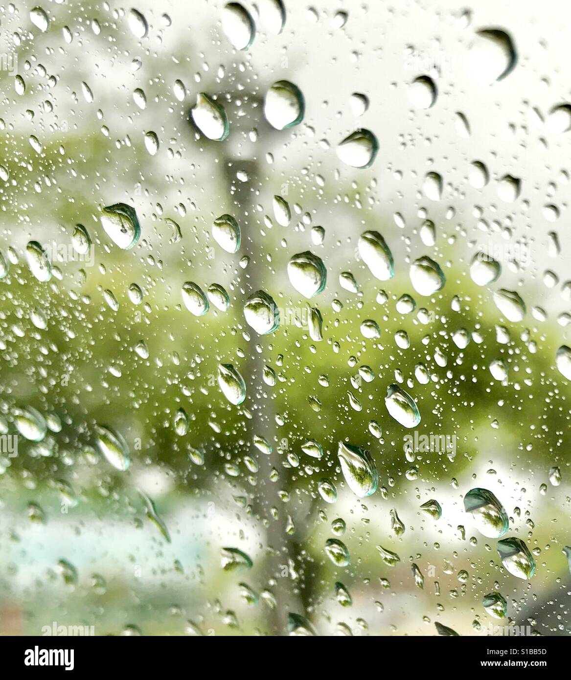 Green march hi-res stock photography and images - Alamy