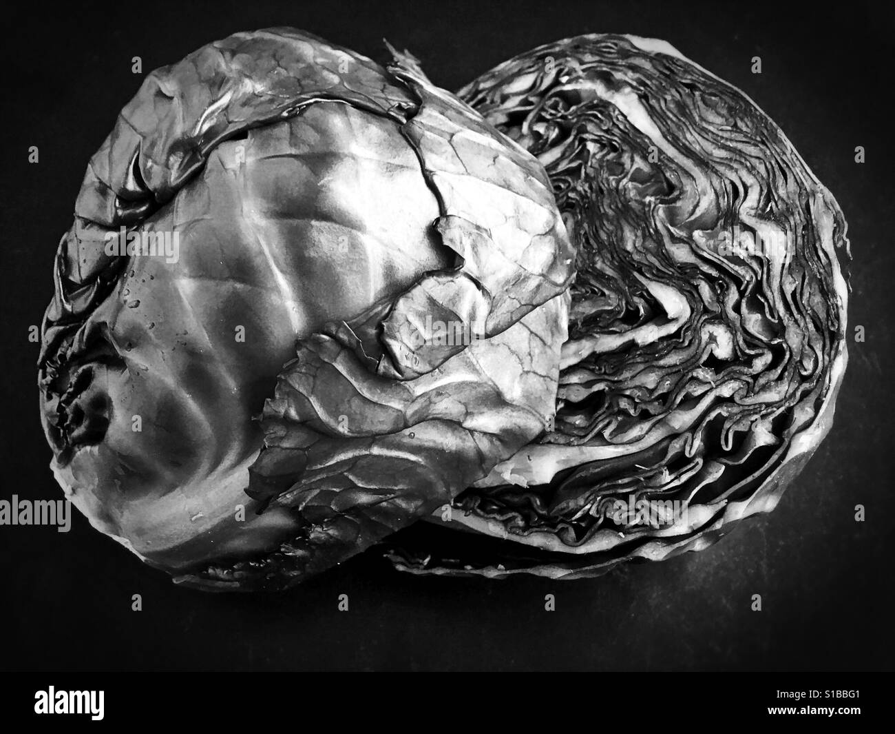 Cabbage white background Black and White Stock Photos & Images - Alamy