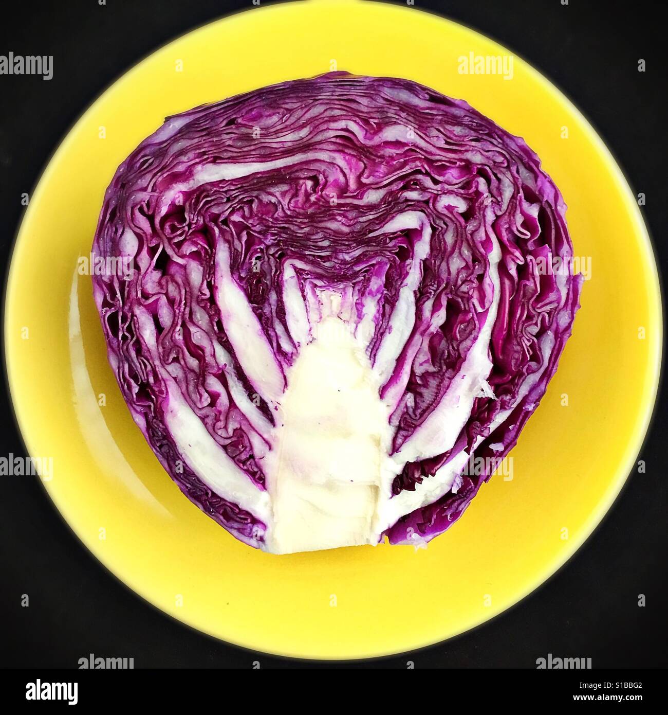 Split Plate High Resolution Stock Photography and Images - Alamy