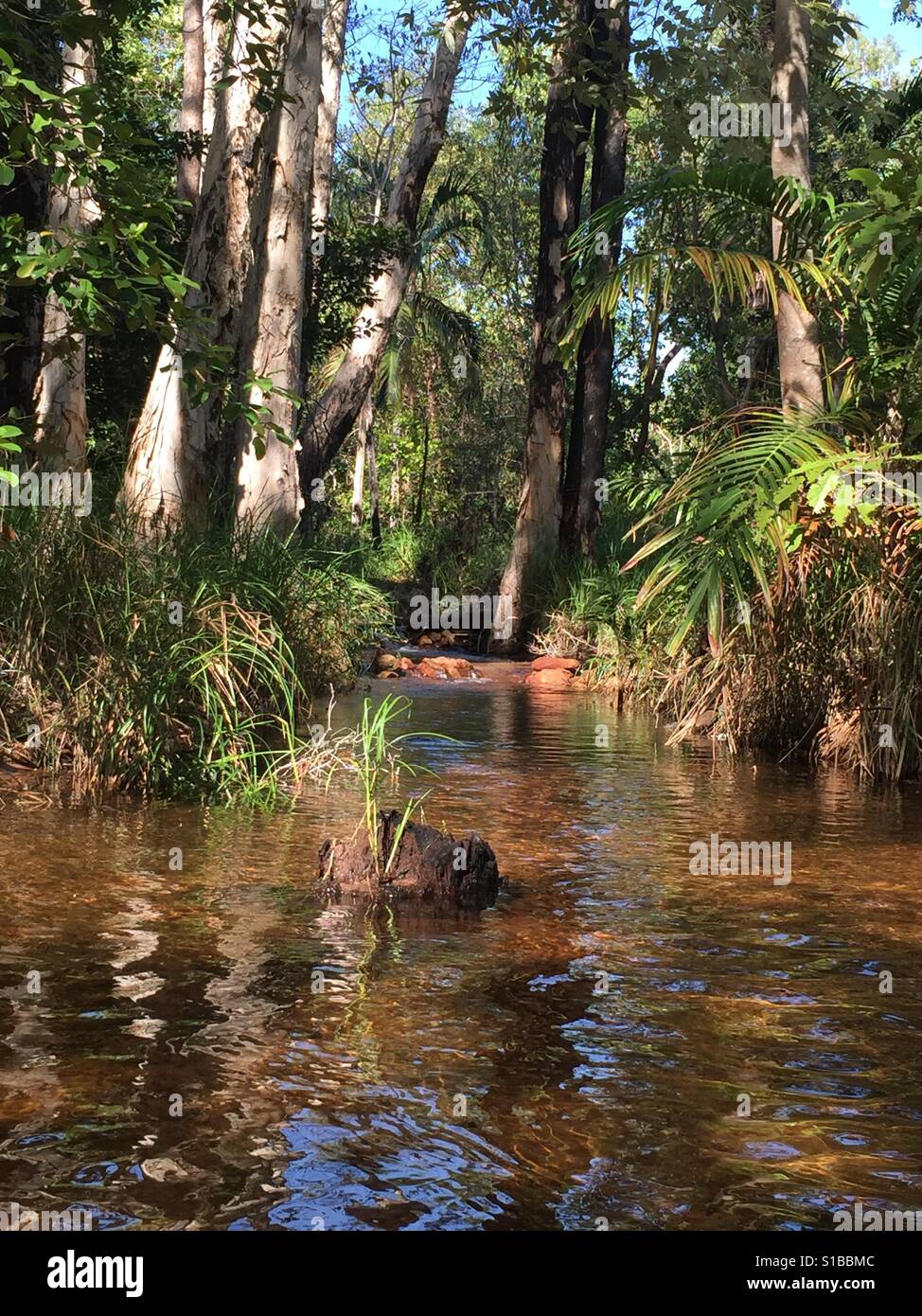Robin Falls NT Stock Photo - Alamy