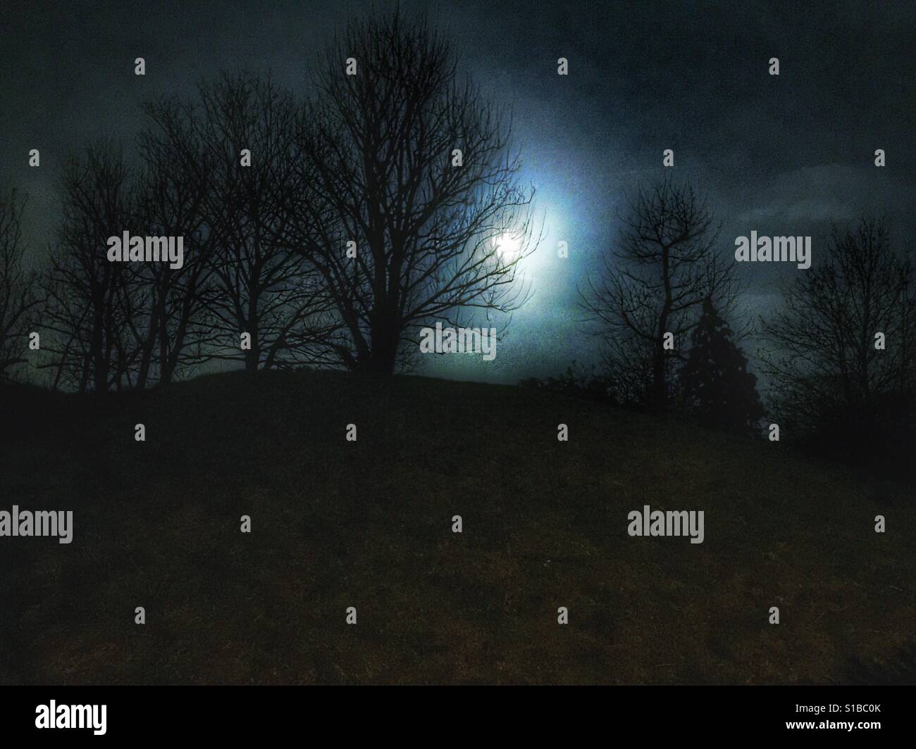 Moonlit silhouette hi-res stock photography and images - Alamy