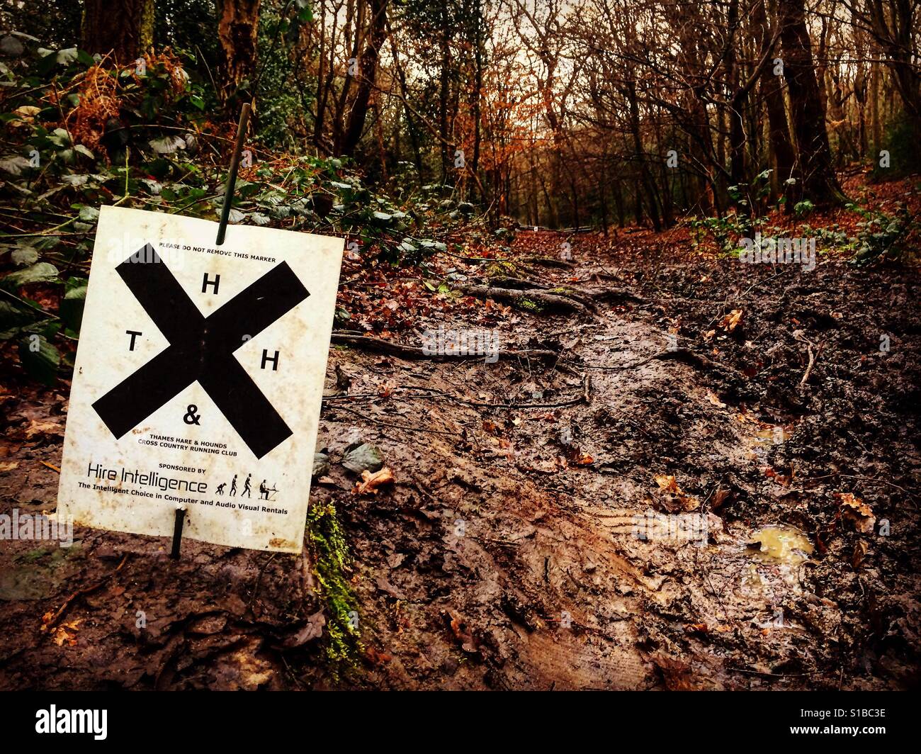Muddy path with sign marking cross country run Stock Photo - Alamy