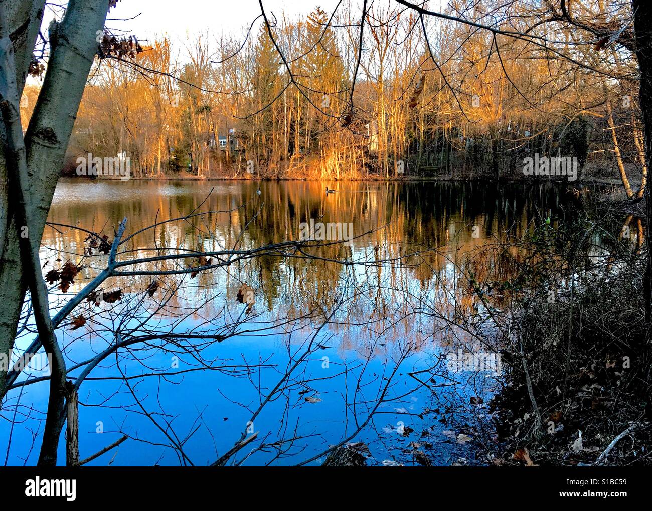 Sunkist hi-res stock photography and images - Alamy