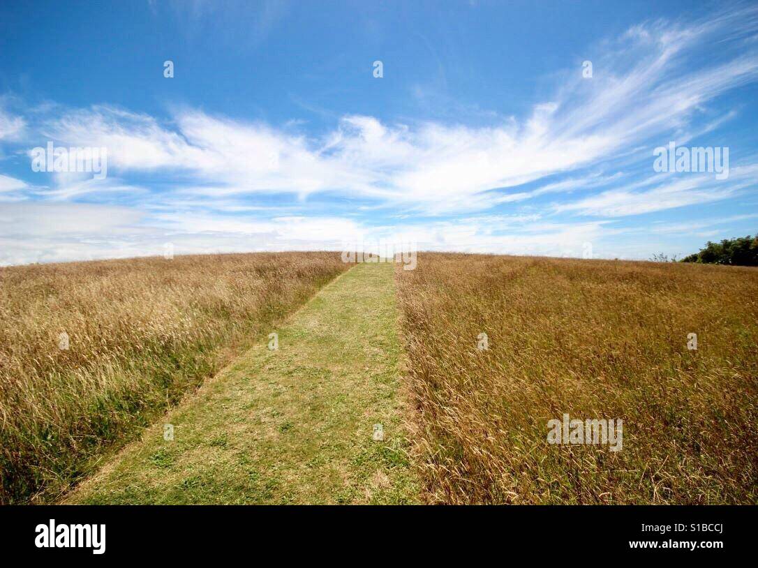 Tiri new zealand hi-res stock photography and images - Alamy
