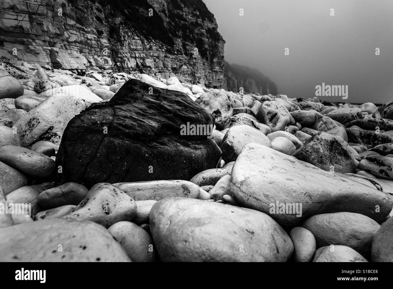 Singled out !! Stock Photo - Alamy