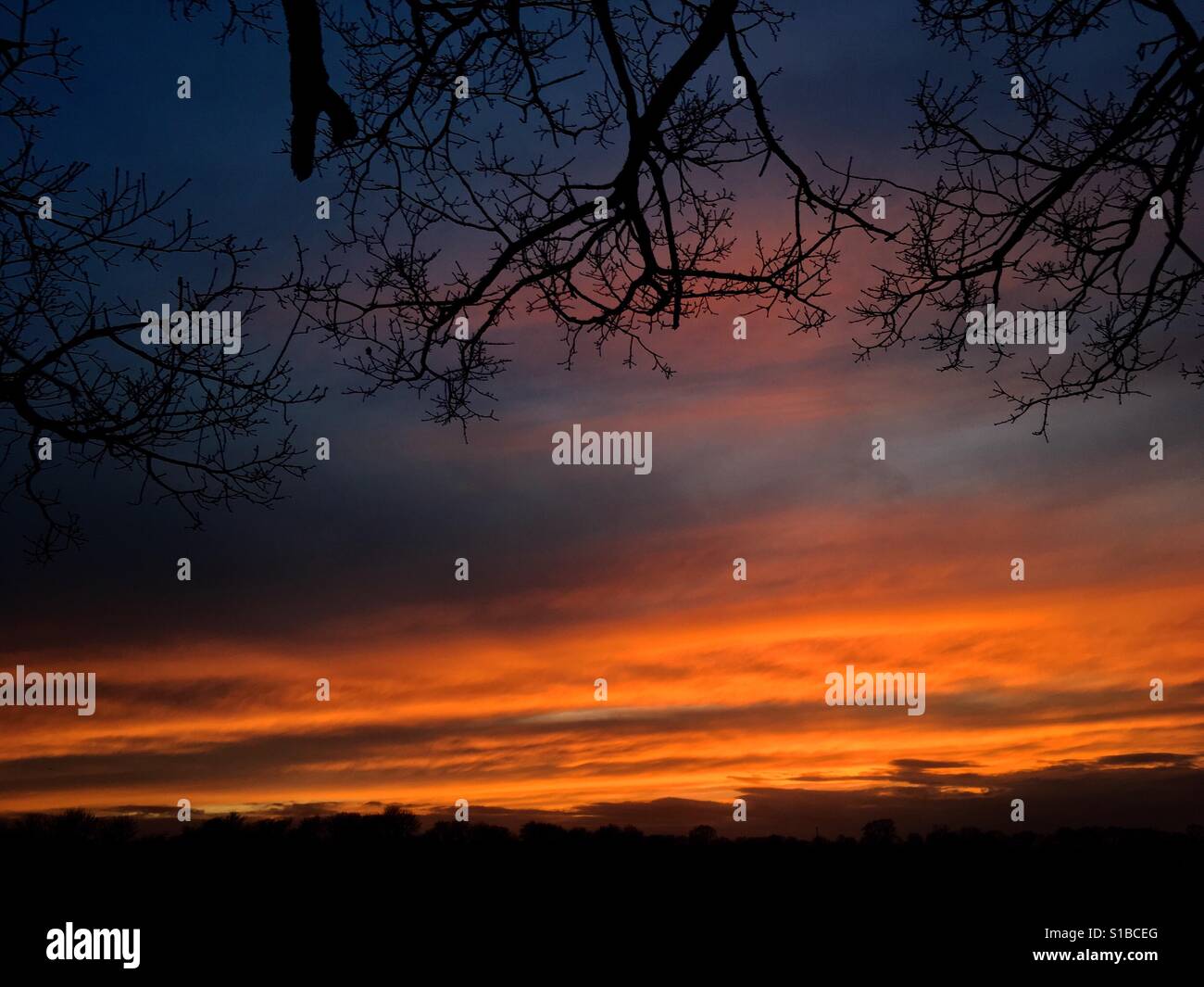 Sunset silhouette across the Suffolk Essex border uk Stock Photo - Alamy