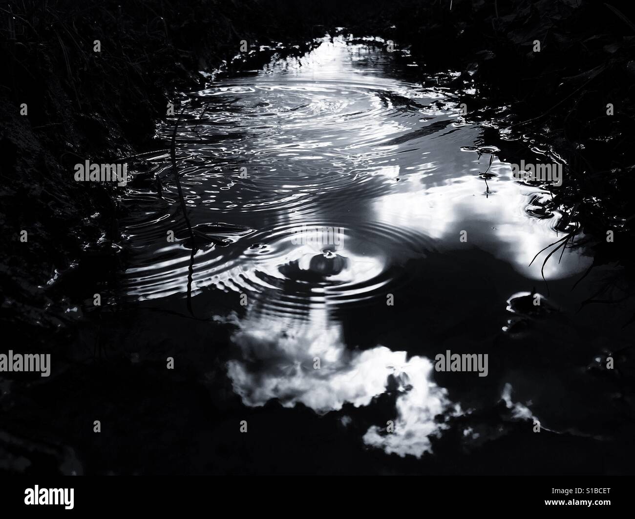White puddle hi-res stock photography and images - Alamy
