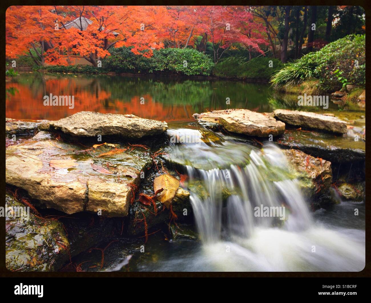 Maples and waterfall hi-res stock photography and images - Alamy