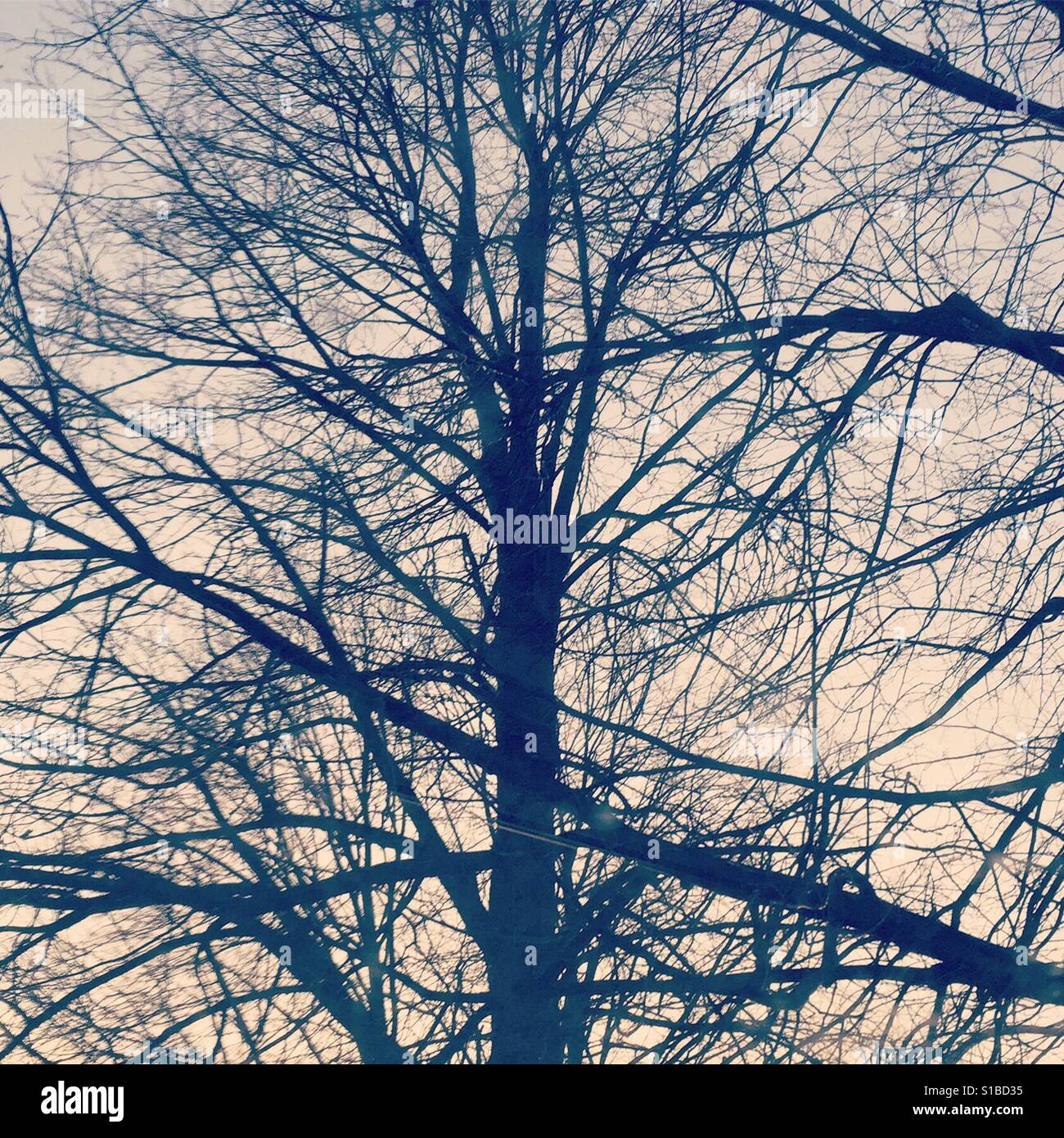 Dullness hi-res stock photography and images - Alamy