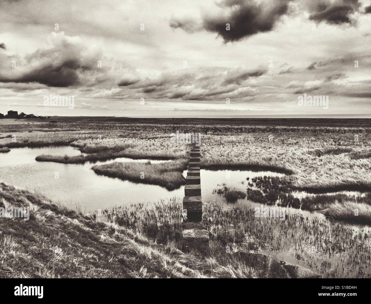 Ww2 anti invasion concrete blocks shingle hi-res stock photography and ...