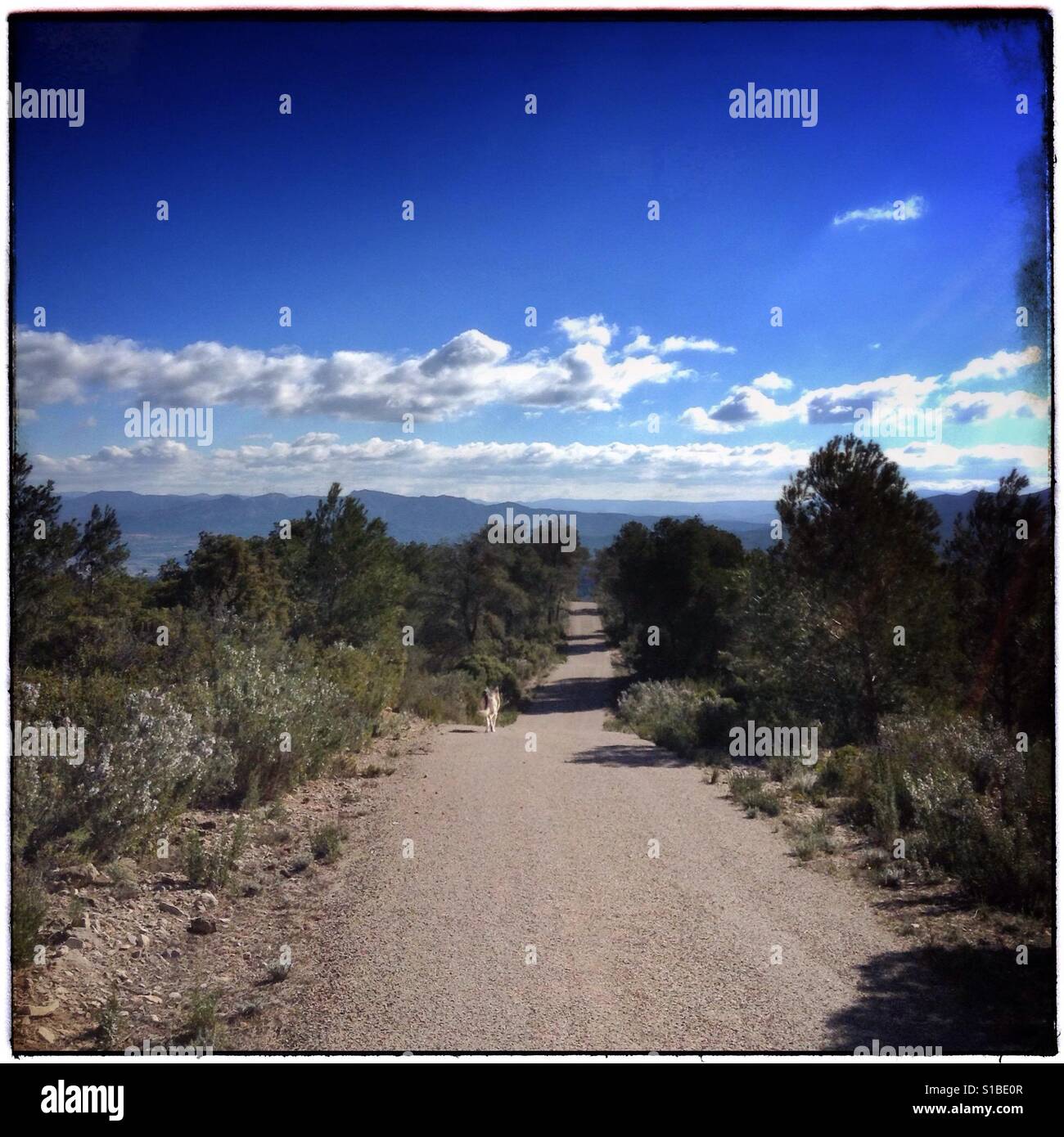 Spanish track hi-res stock photography and images - Alamy