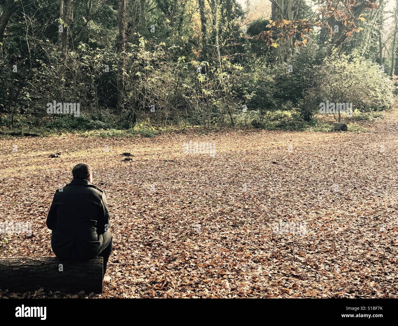 Quiet thinking hi-res stock photography and images - Alamy