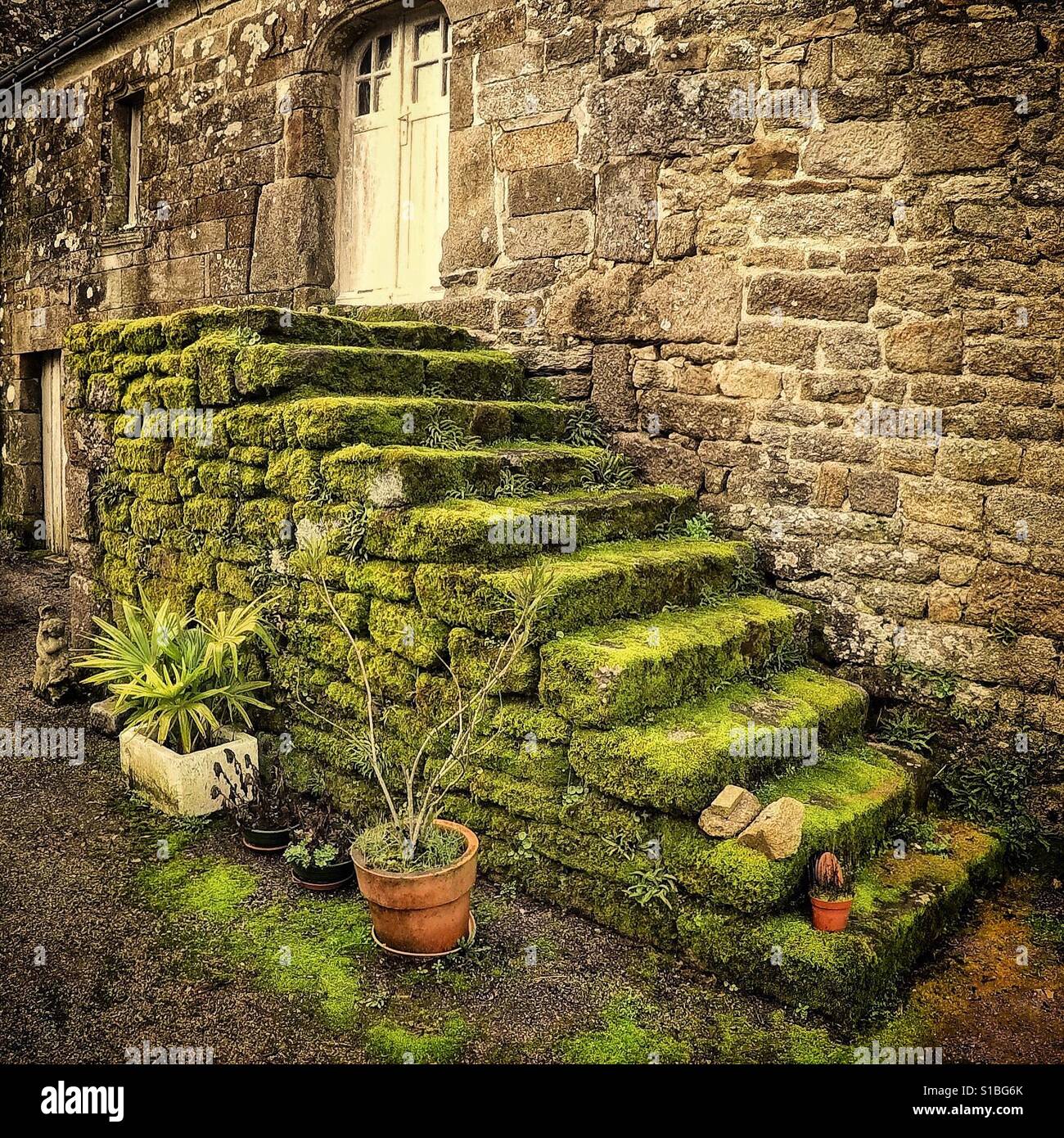 Moss stone steps hi-res stock photography and images - Alamy