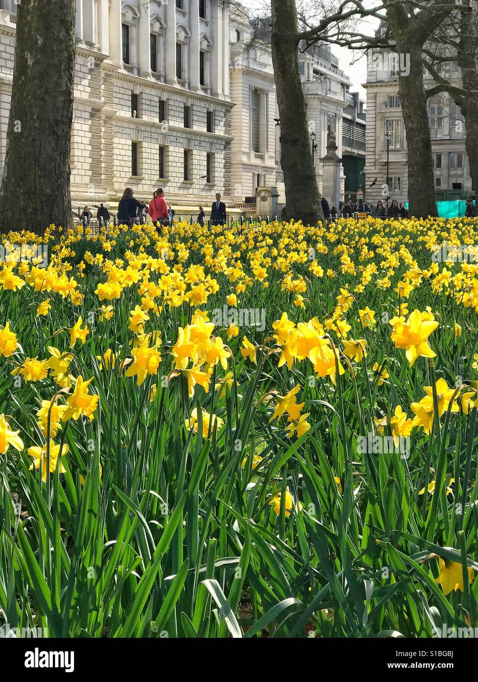 Spring in london hi-res stock photography and images - Alamy
