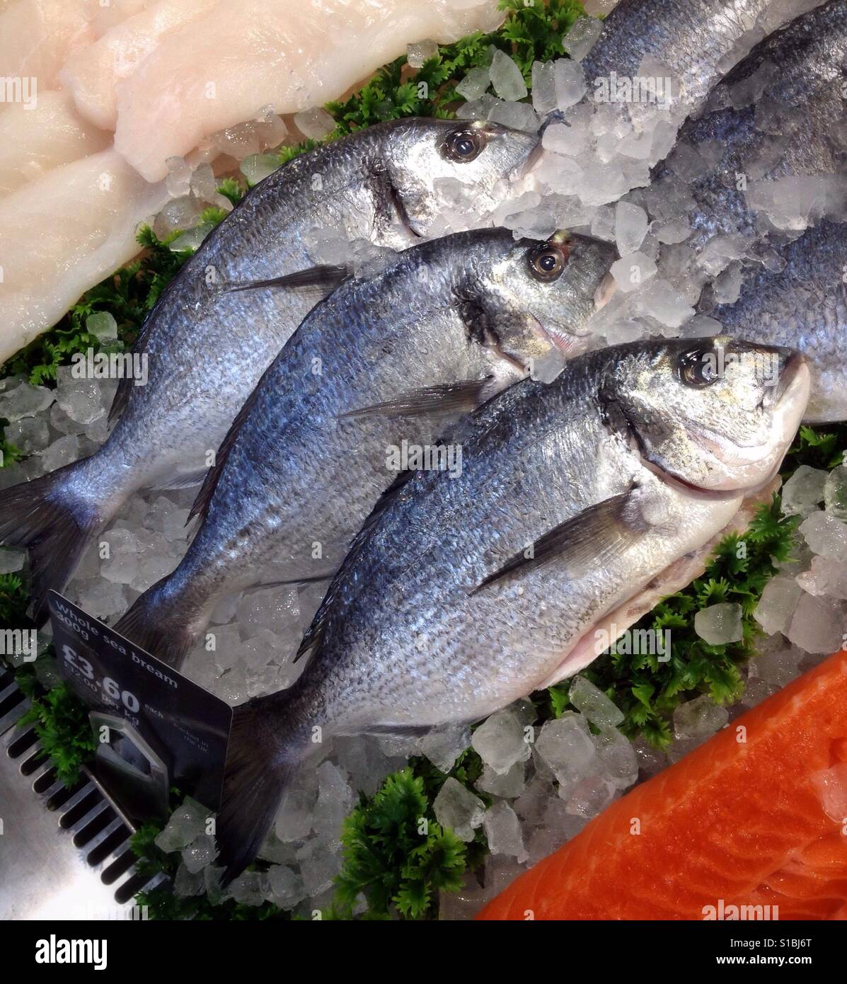 Sea Bream on a fish counter Stock Photo - Alamy
