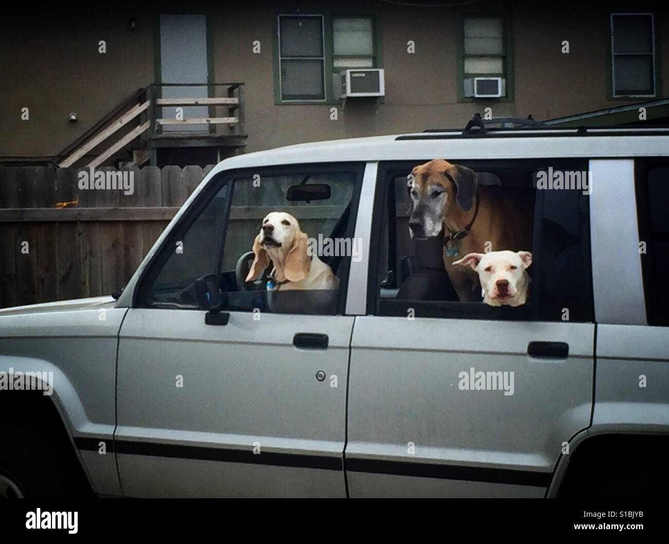 Car suv isuzu hi-res stock photography and images - Alamy