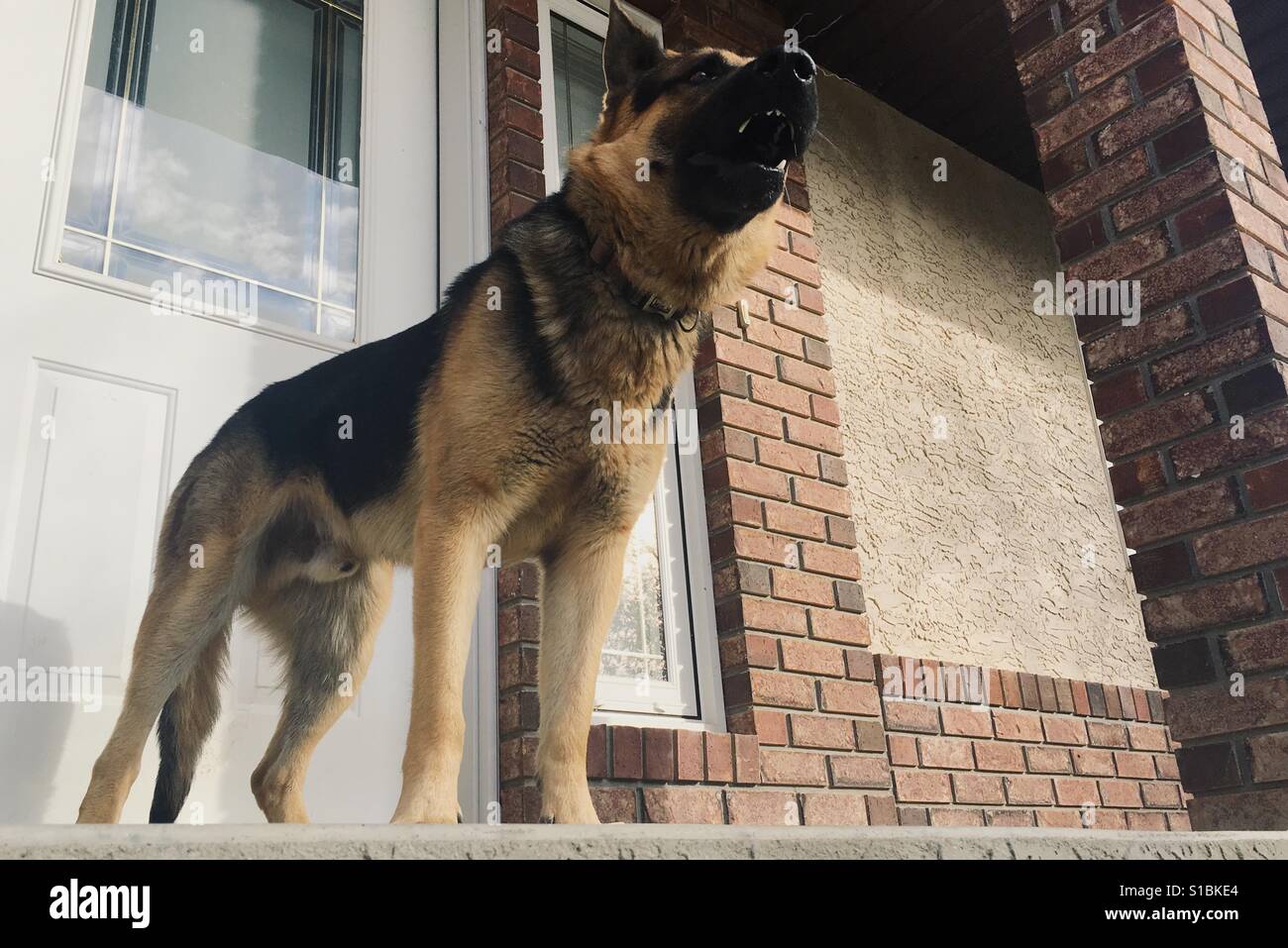 A growling angry jet Stock Photo - Alamy