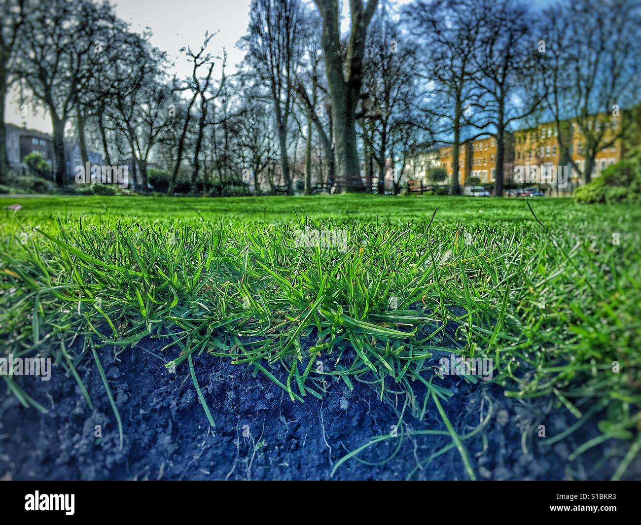 English garden grass hi-res stock photography and images - Alamy