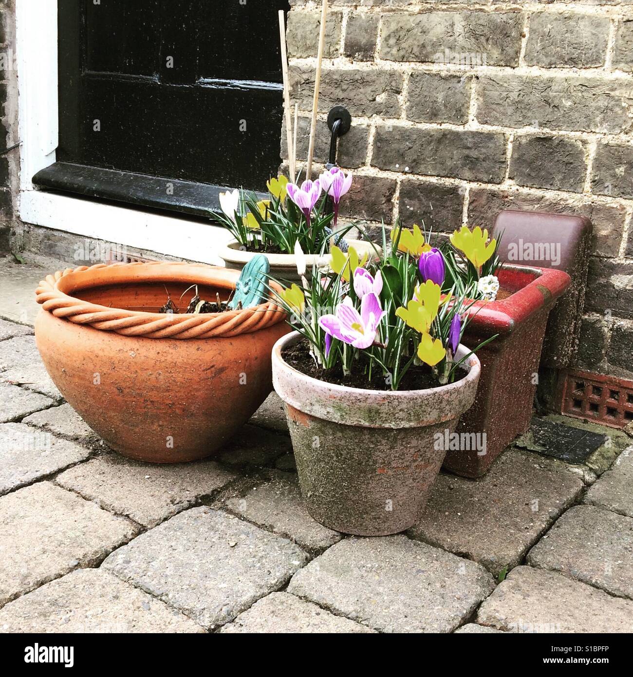 Purple clay pots hi-res stock photography and images - Alamy