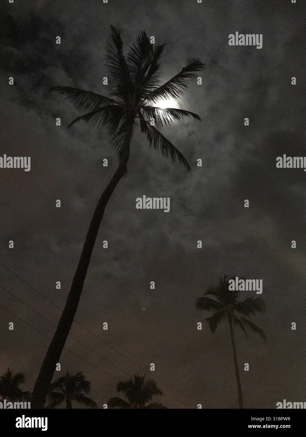 Moonlit nights hi-res stock photography and images - Alamy