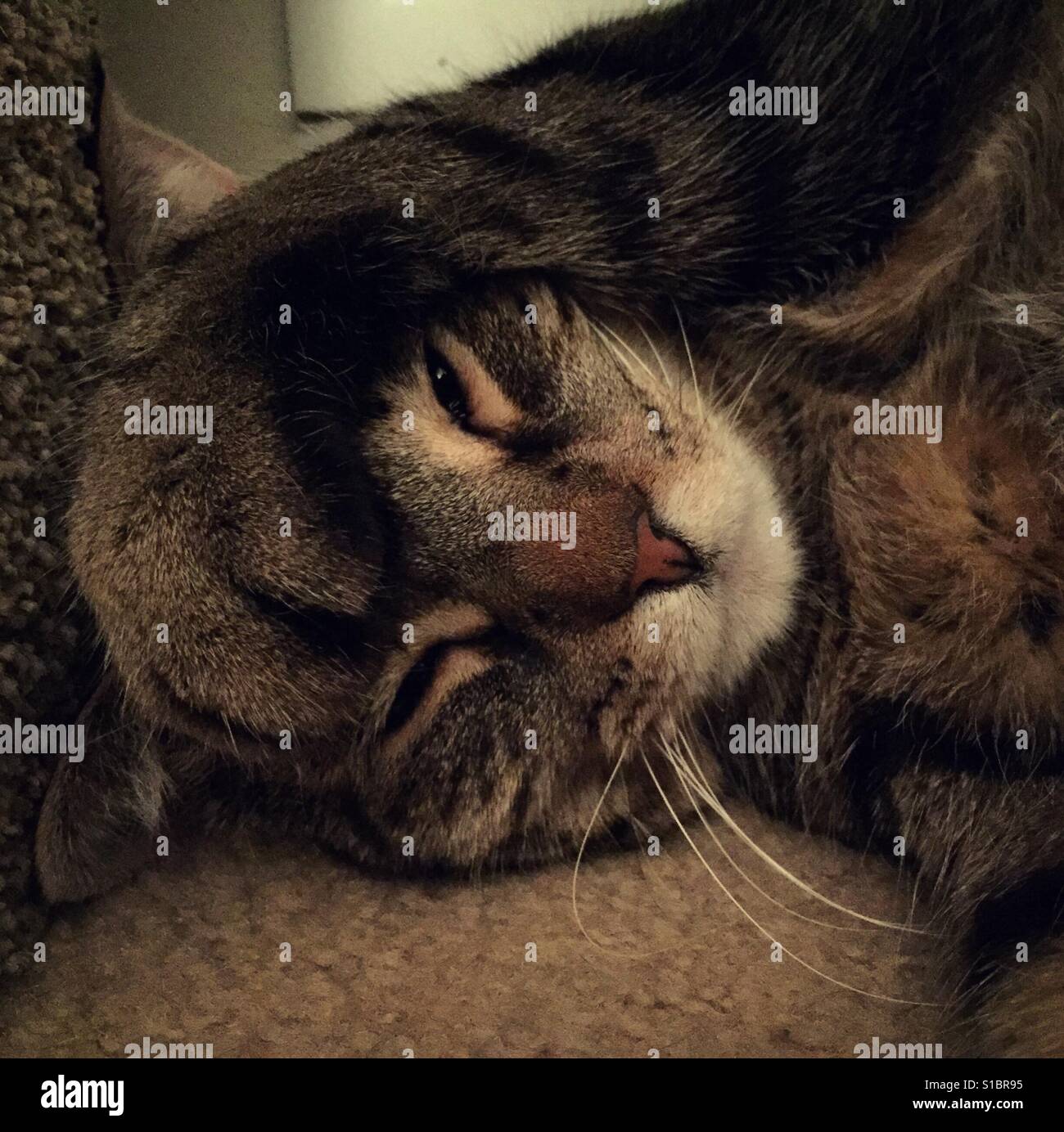Hangover hi-res stock photography and images - Alamy