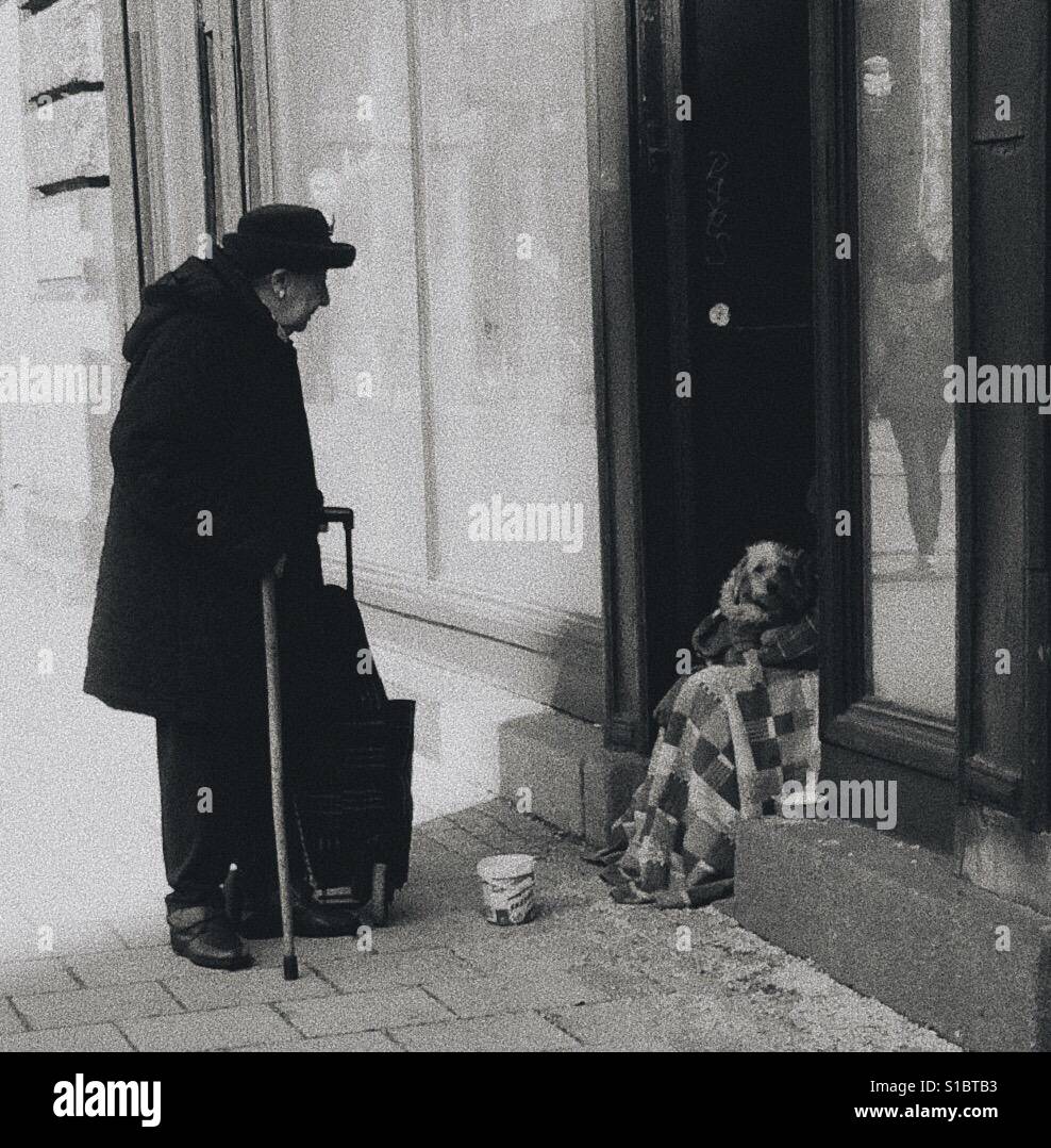 Homeless woman dog hi-res stock photography and images - Alamy