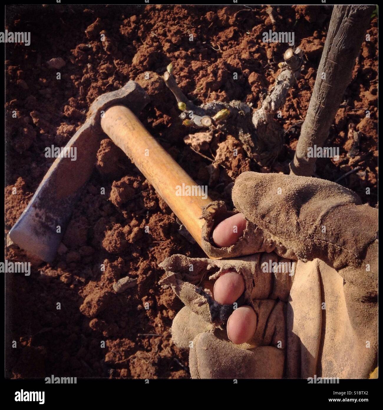 Fingerless gloves hi-res stock photography and images - Alamy