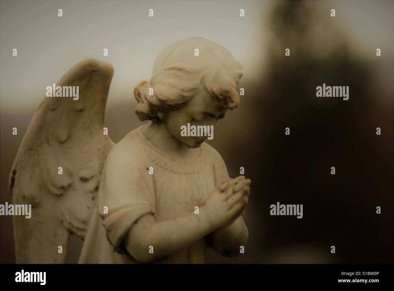 Watching over you Stock Photo - Alamy