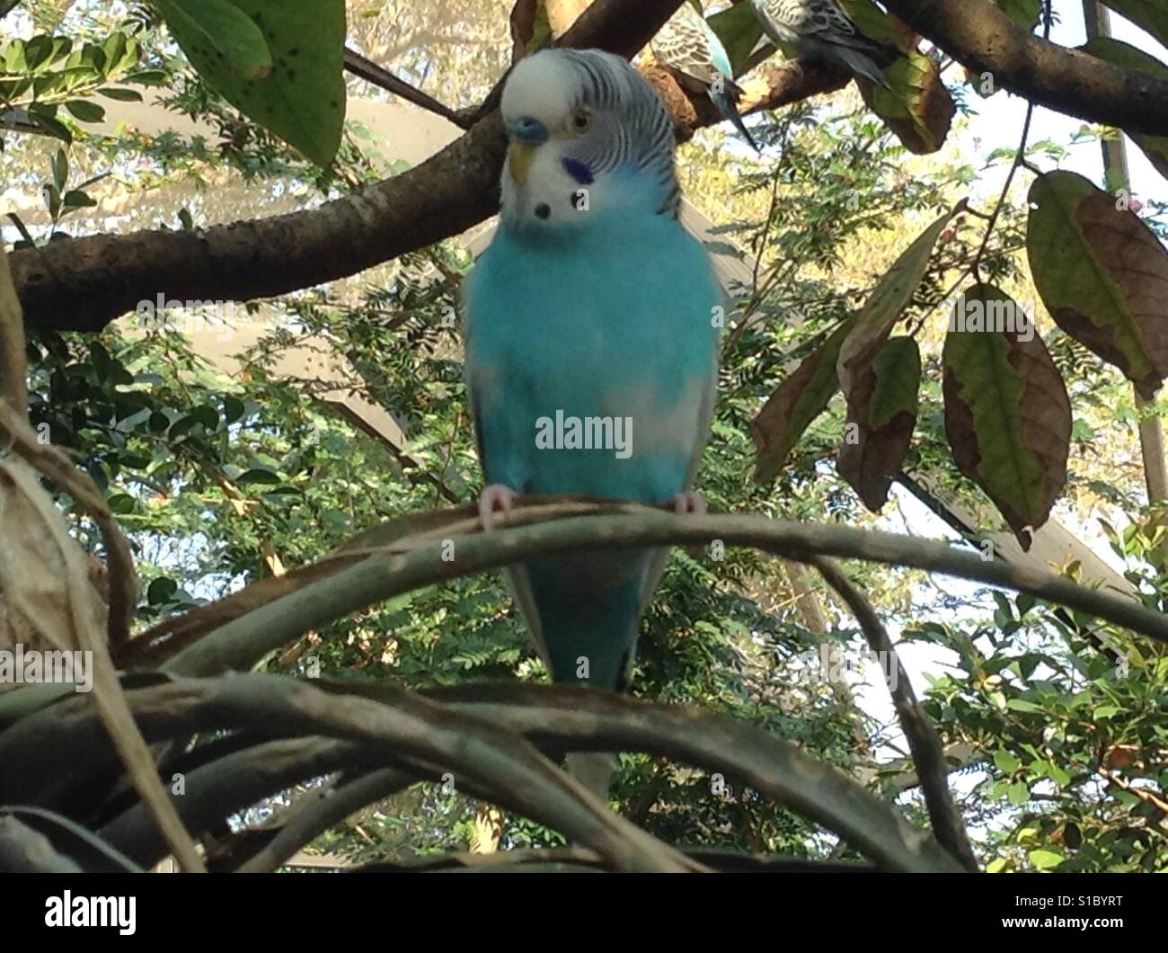 Beautiful aqua hi-res stock photography and images - Alamy