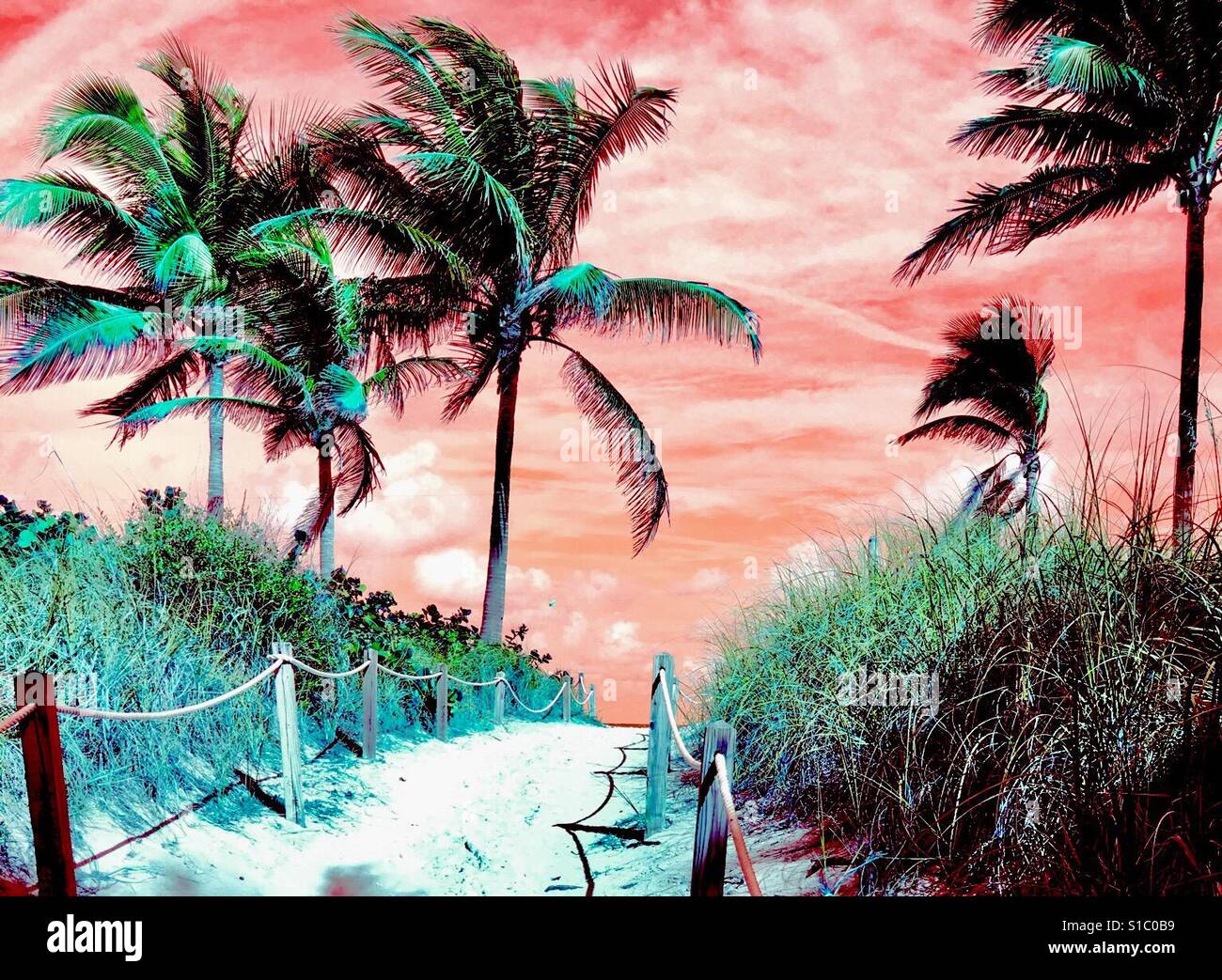 Path to the beach Stock Photo - Alamy