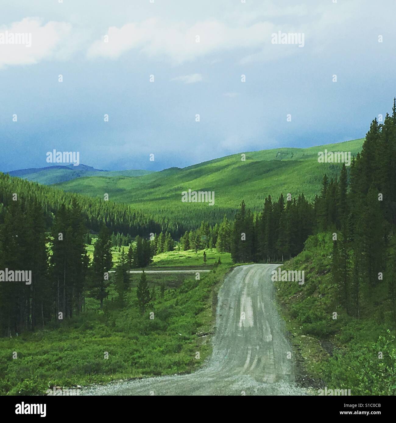 Road less travelled Stock Photo - Alamy