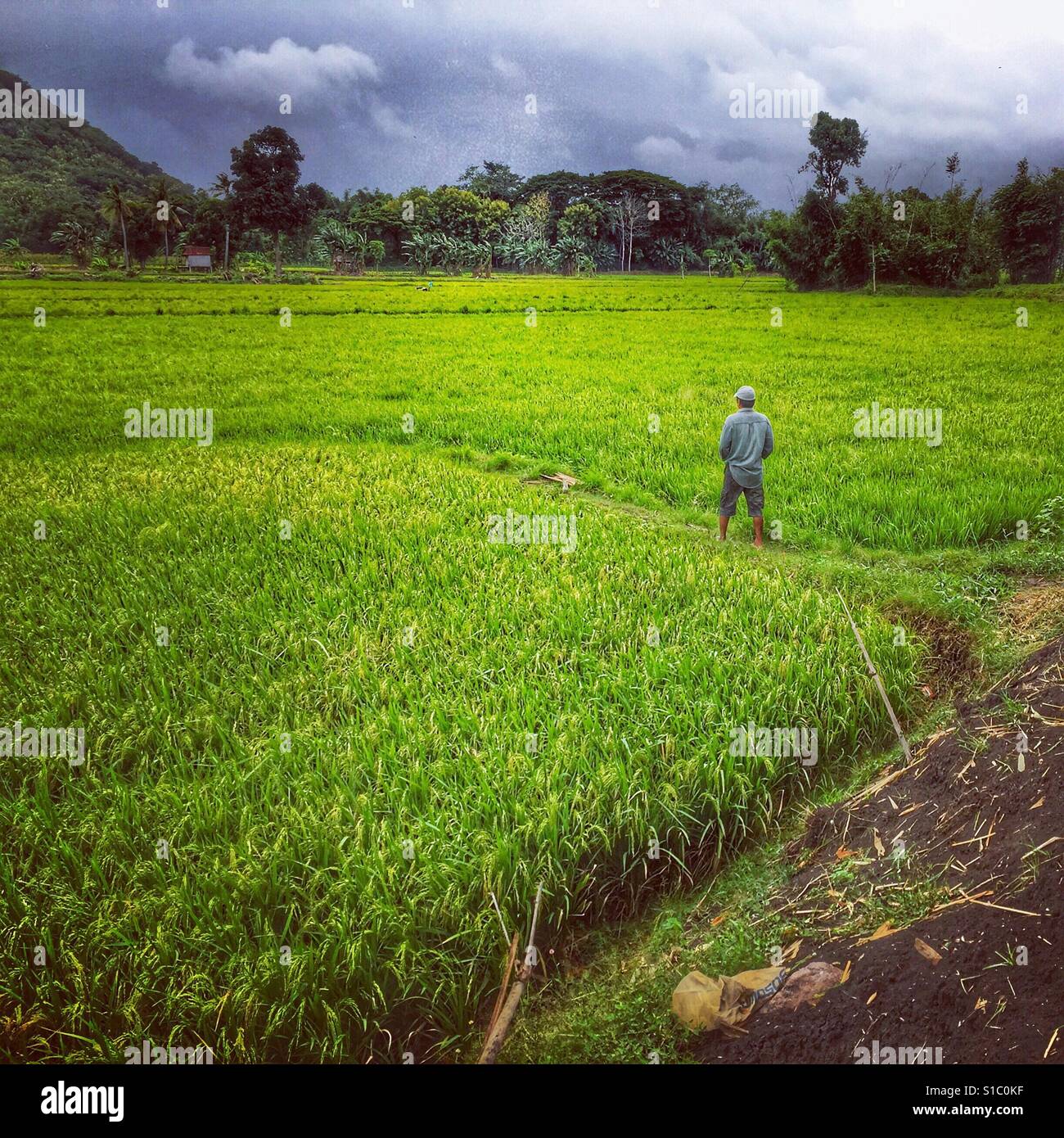 Art image of farmer hi-res stock photography and images - Alamy
