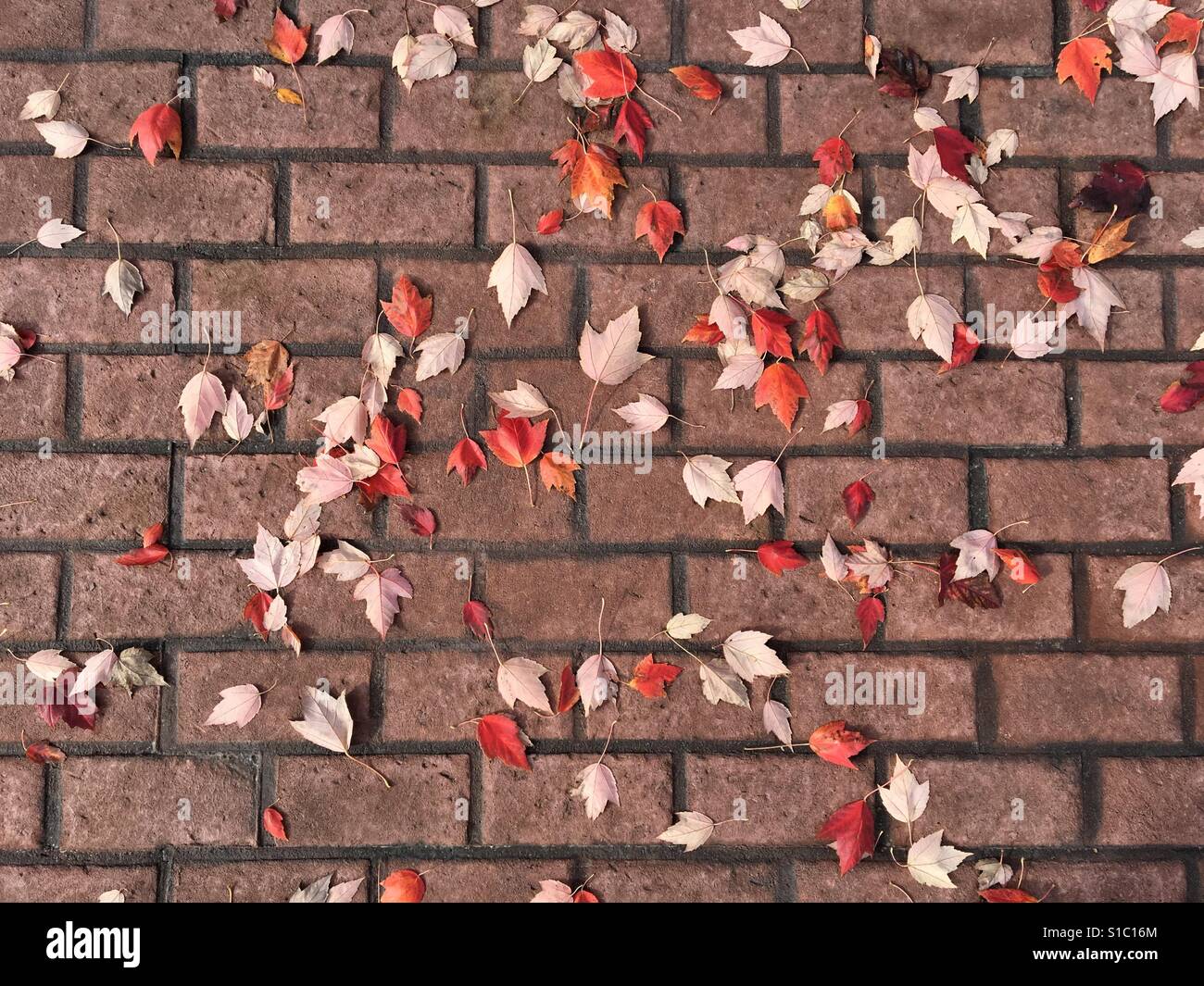 Red brick sidewalk hi-res stock photography and images - Alamy