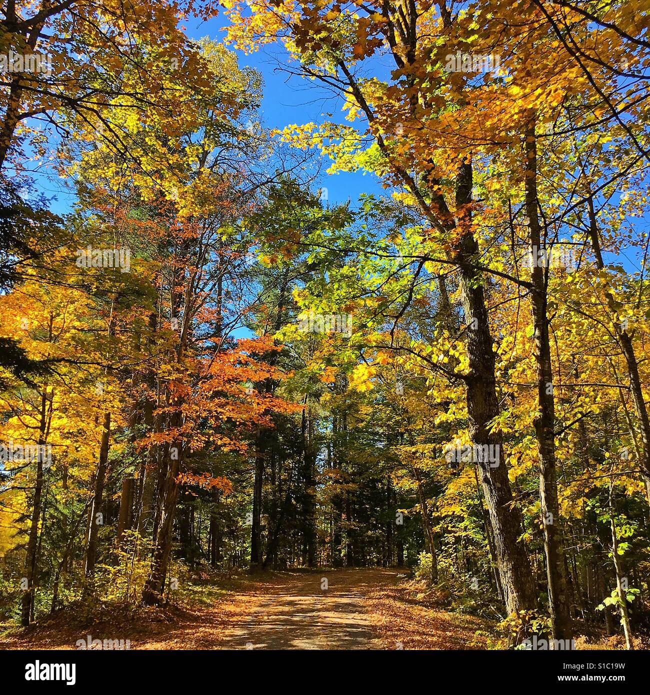 Fall colors in wisconsin hi-res stock photography and images - Alamy