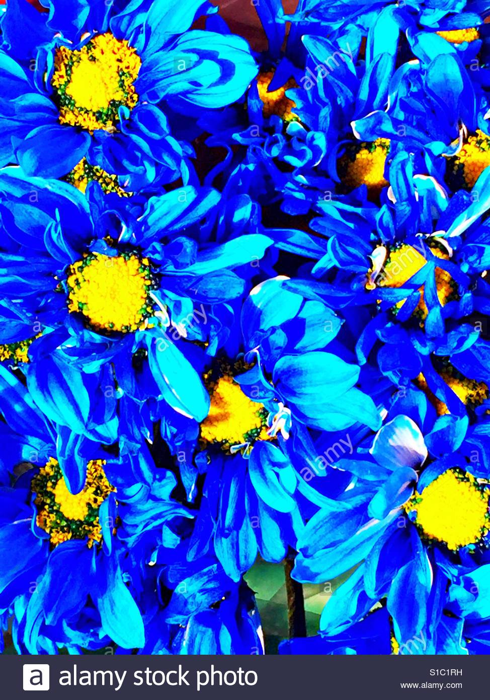 Jostling High Resolution Stock Photography and Images - Alamy