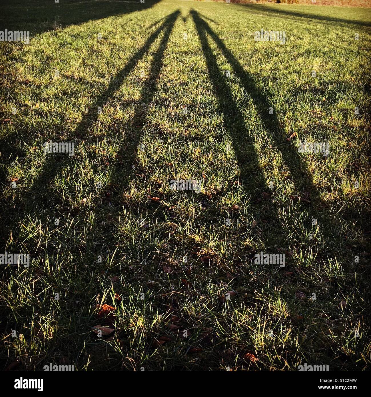 Hand shadows hi-res stock photography and images - Alamy